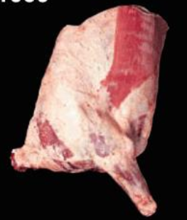 Forequarter of Beef – Gerry's Dublin Meats