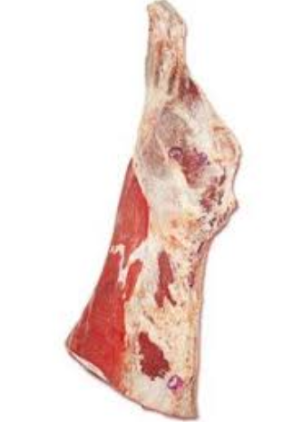 Hind Quarter Yearling Beef – Gerry's Dublin Meats
